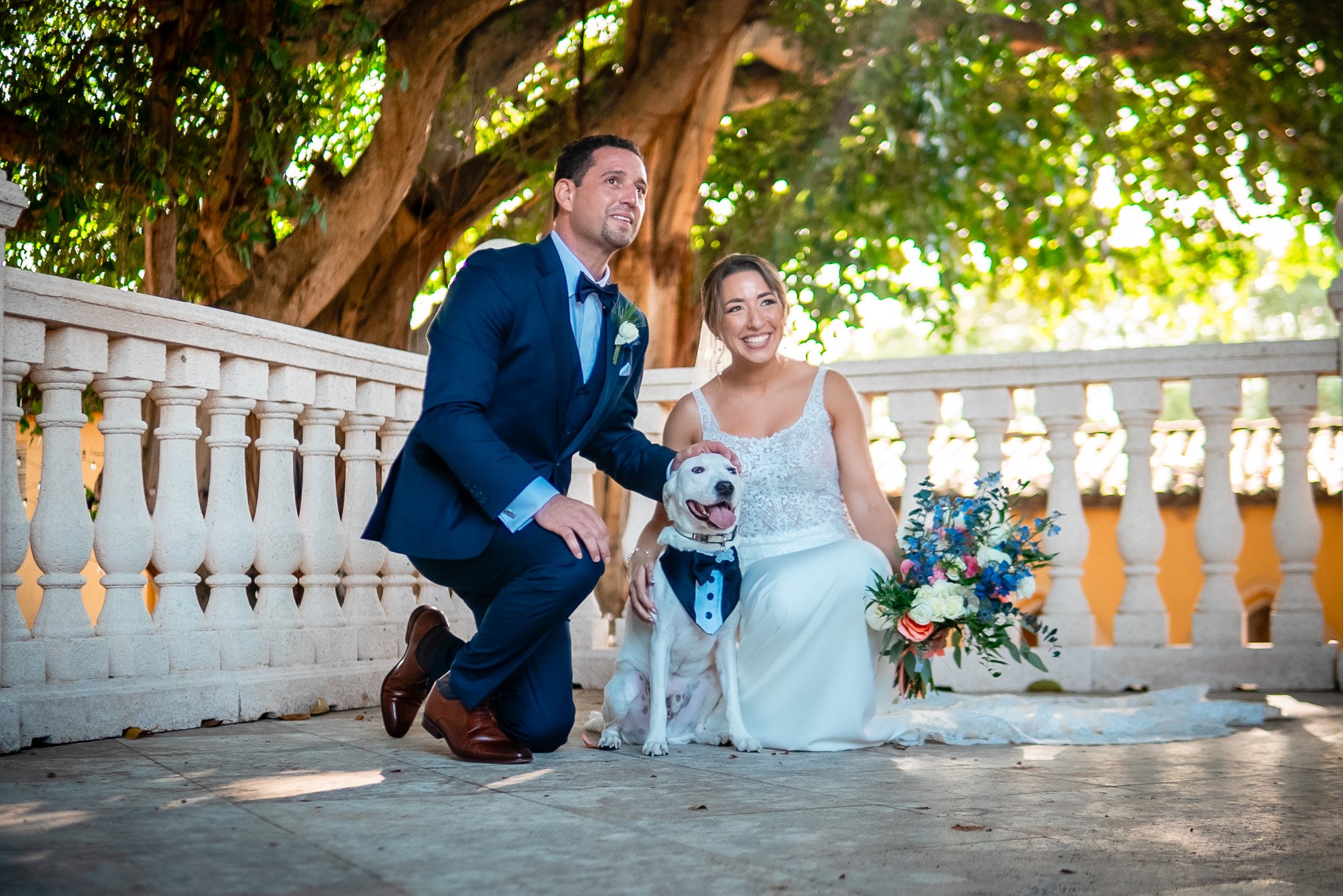 How to Get Married at the Addison of Boca Raton, Boca Raton, Florida