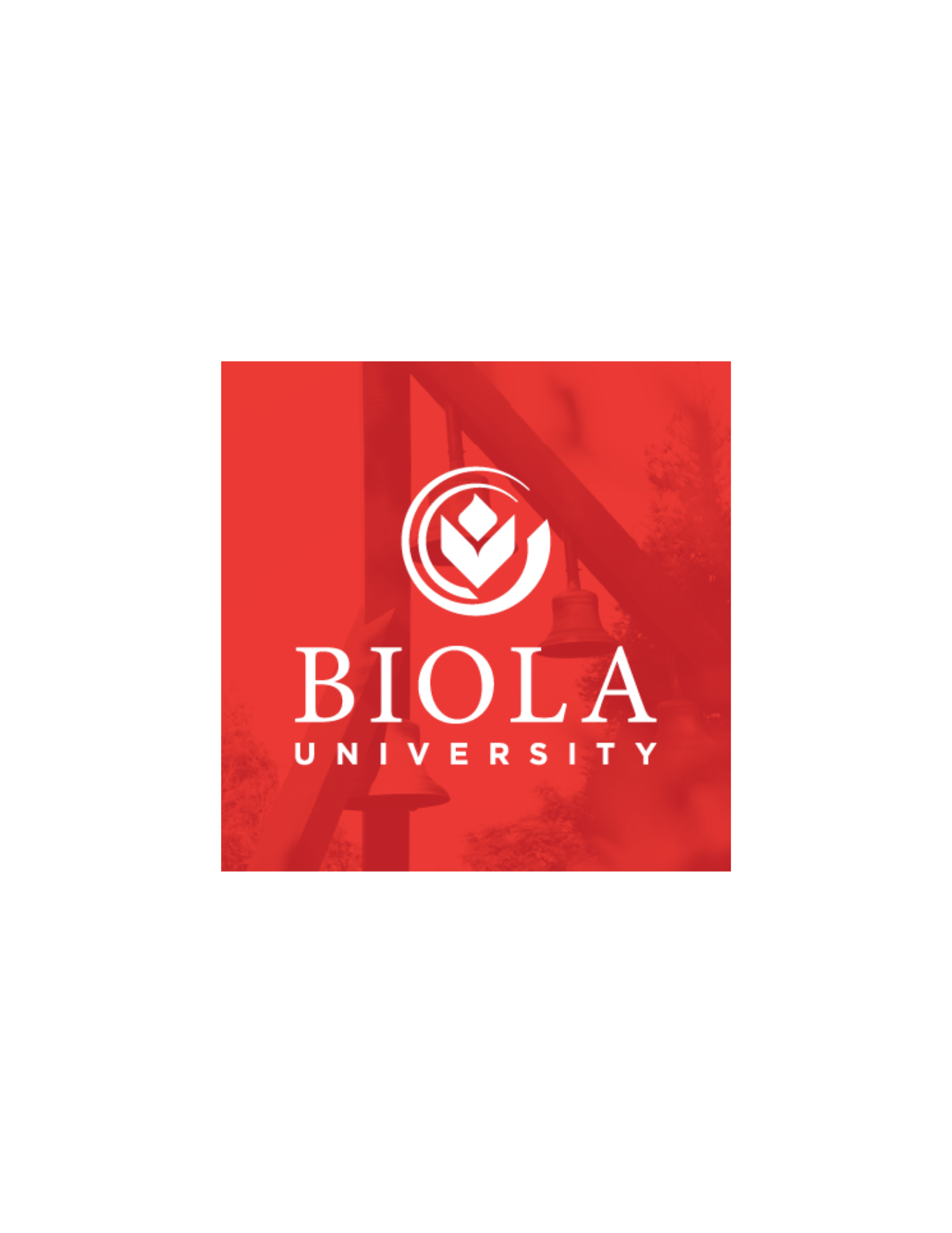 Our Partners — Solidarity