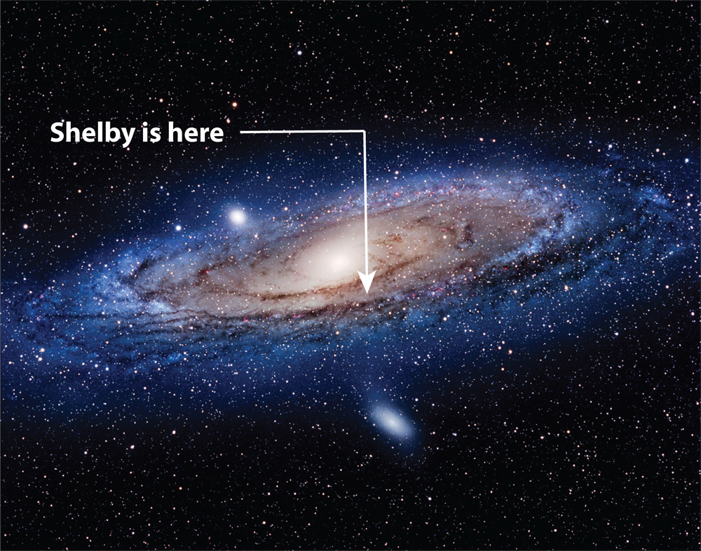 Shelby Elder — Nocera Lab