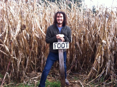 Matt Nava — Nocera Lab