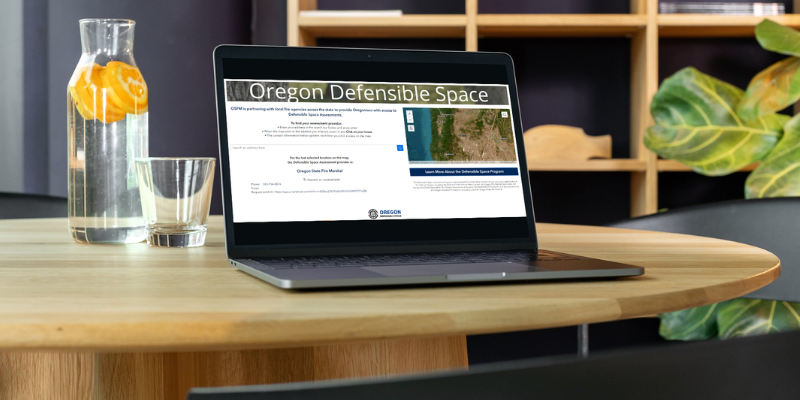 Defensible Space Grant Information — Santiam Recovery