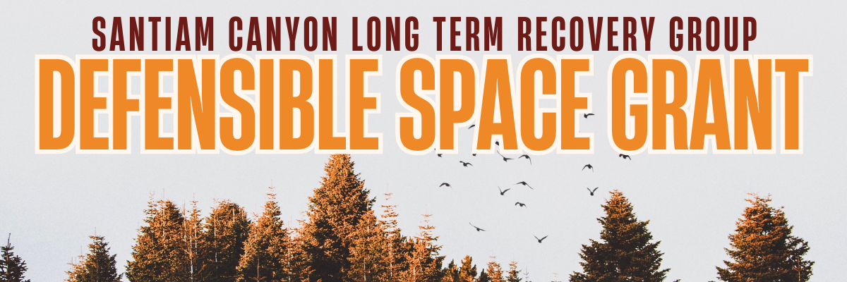 Defensible Space Grant Information — Santiam Recovery