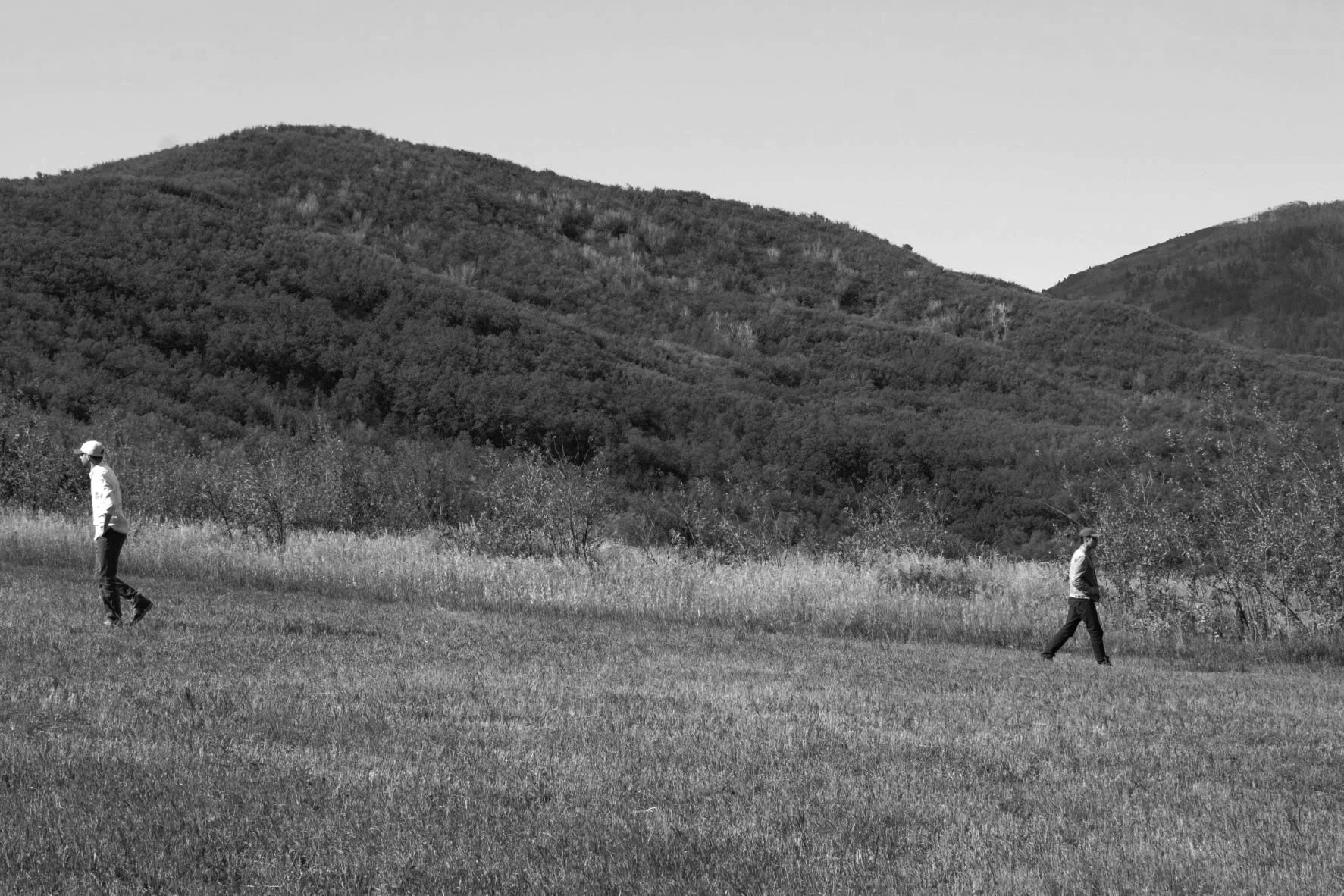 carpenter studio - landscape architecture — Wild Horse Ranch