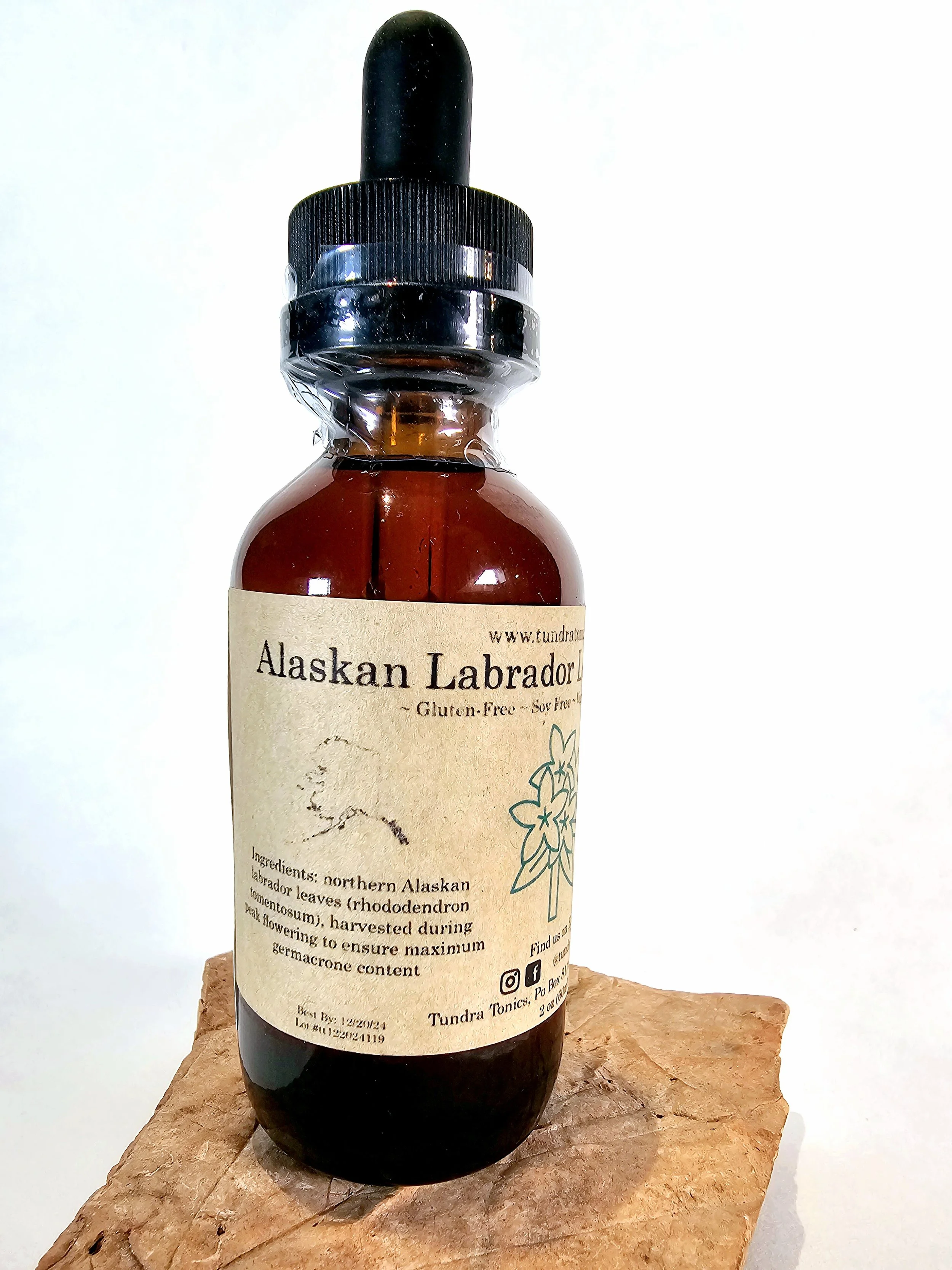 Wild Alaskan Mushroom Coffees — Tundra Tonics