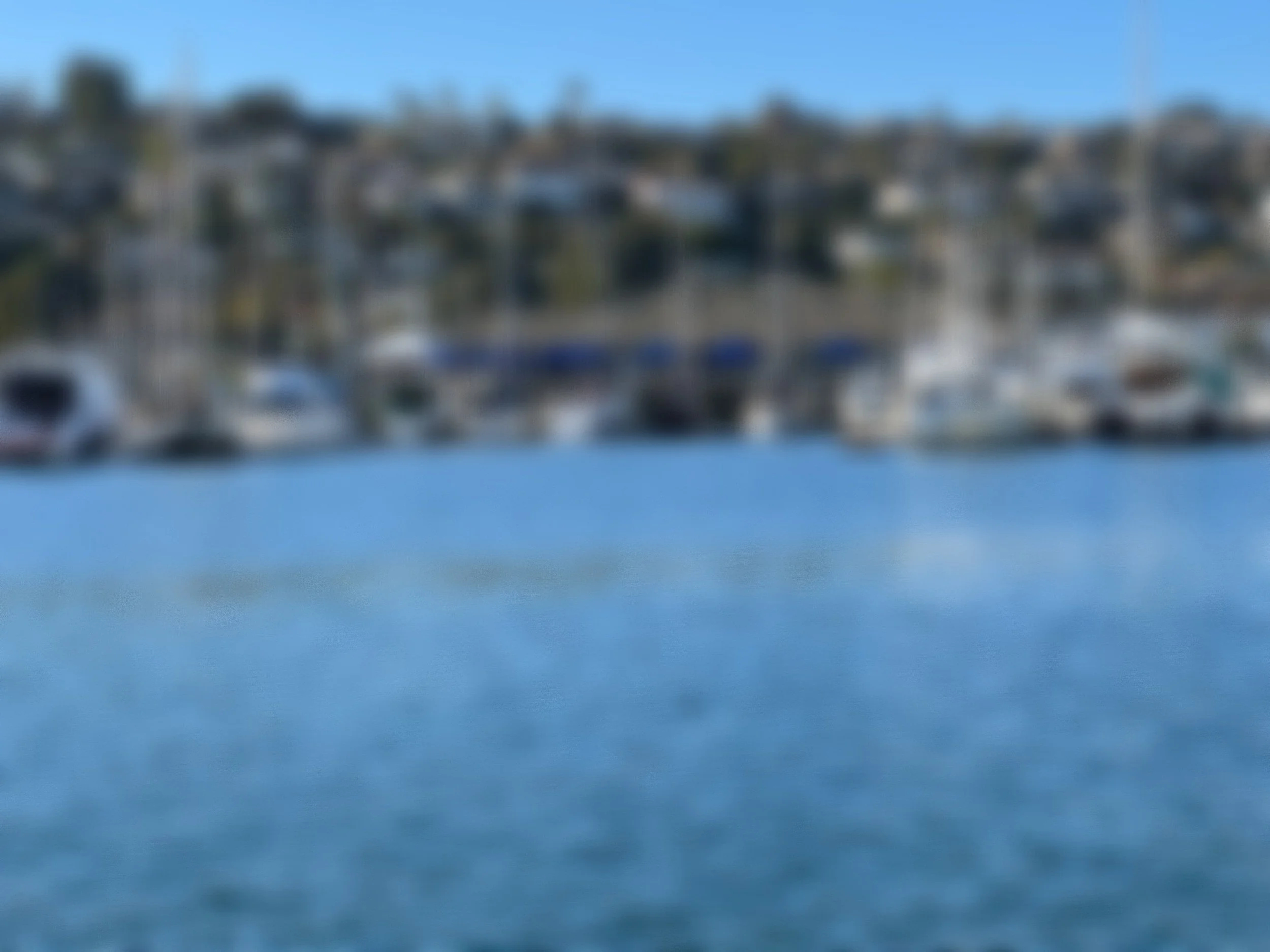 Remote Boat Monitoring & Control System | Blue Guard Innovations