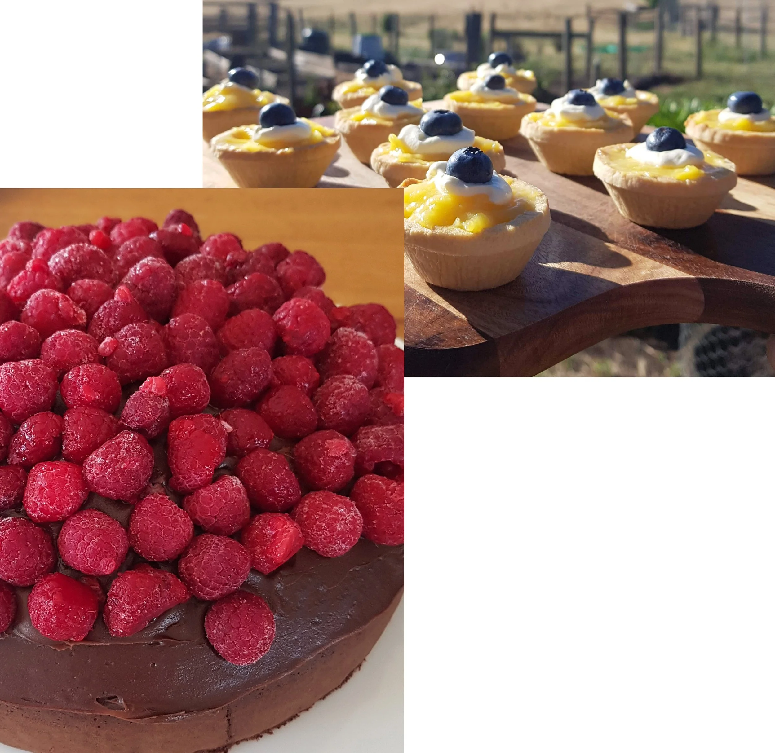 Sweet Treat Catering: Desserts, Cakes and Slices for Your Event — Fed ...