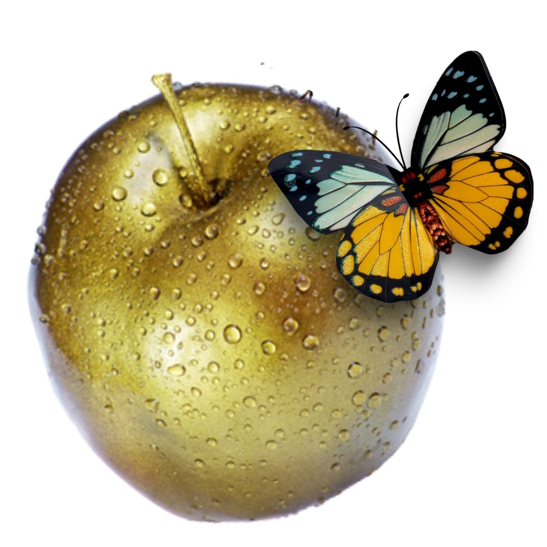 The Ripe Idea - Marketing & PR Agency