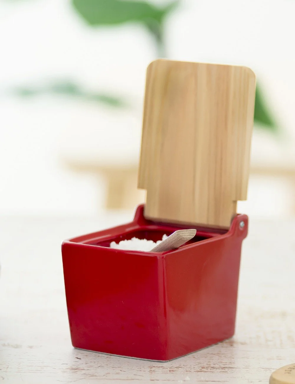 Saltbox — ZERO JAPAN USA