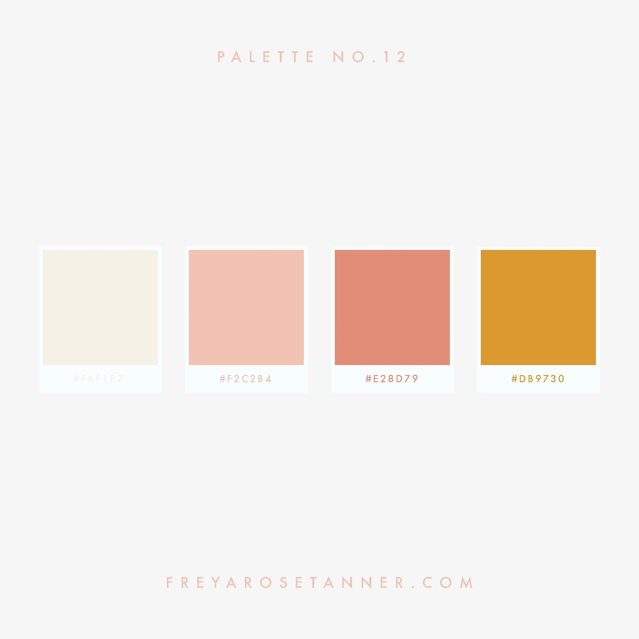 Colour Palettes — Freya Rose Tanner