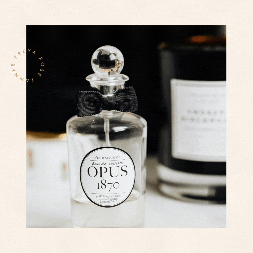 Find the Perfect Fonts for Your Brand as a Winter Brand Archetype ...