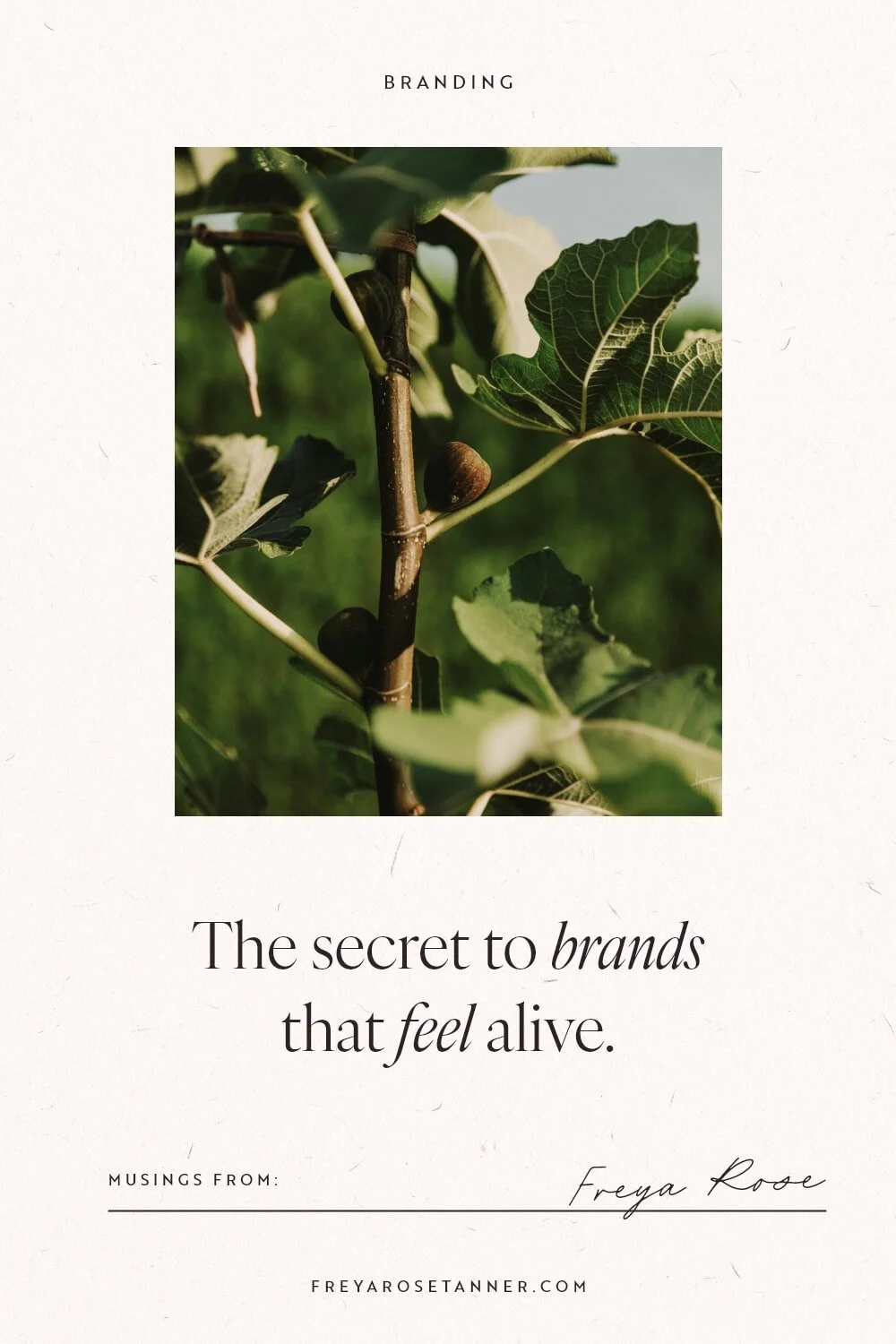 The secret to brands that feel alive — Freya Rose Tanner