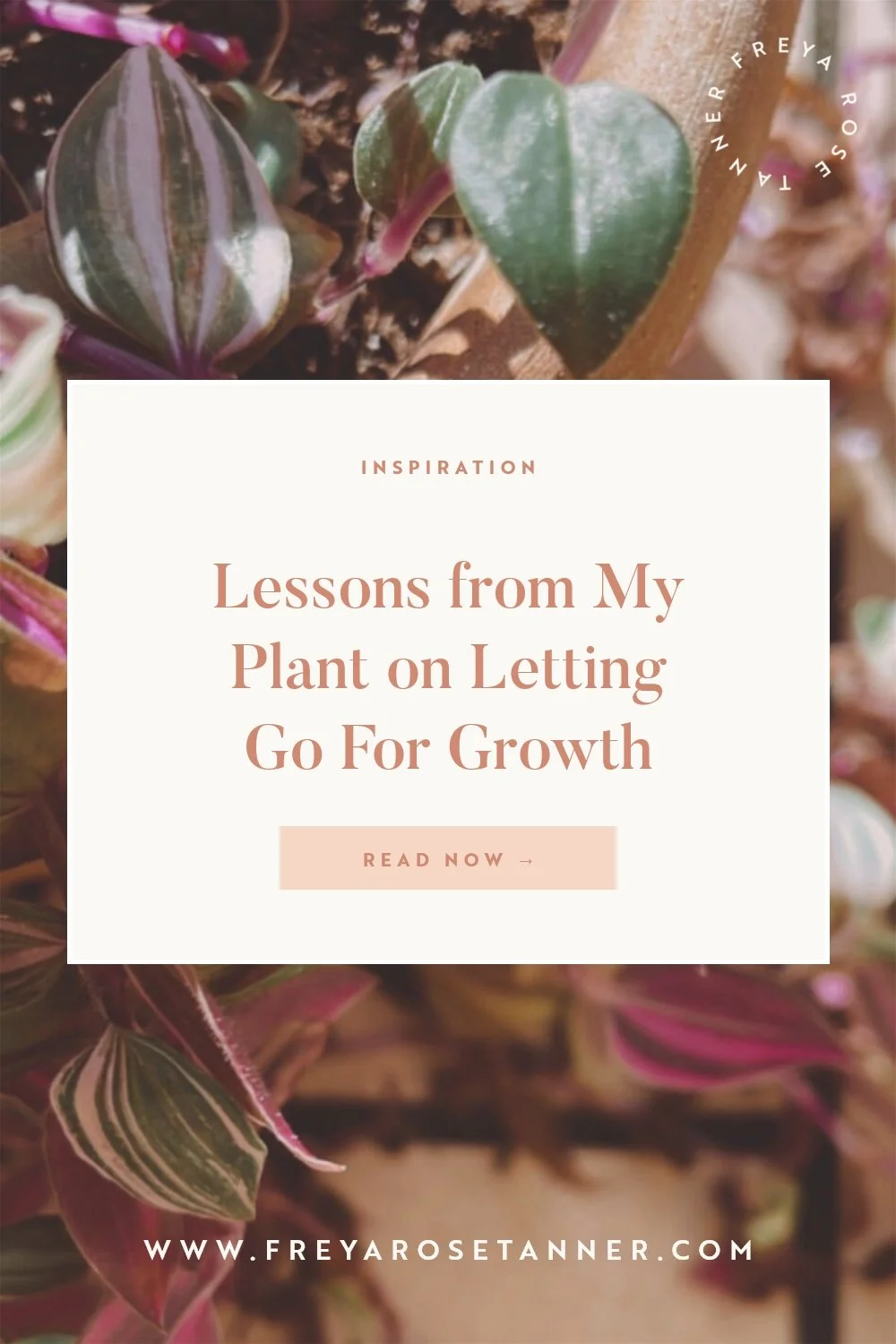 Are you feeling weighed down? — Freya Rose Tanner