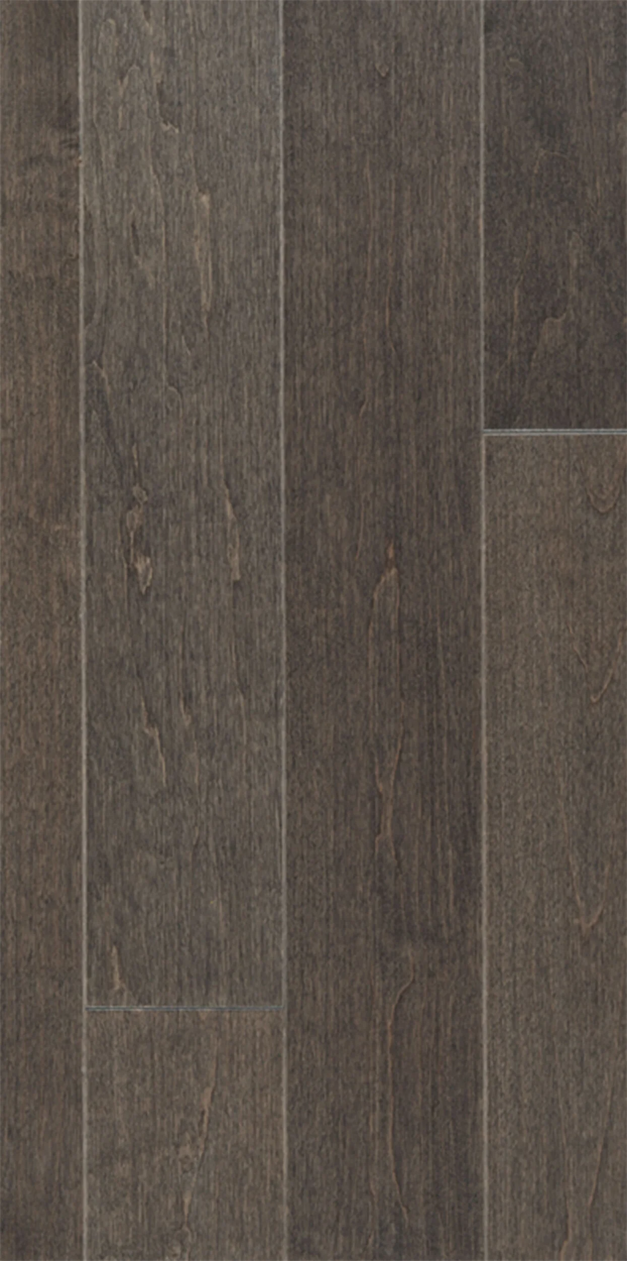 Engineered Hardwood | Wood Flooring Toronto — Dragona Flooring & Supplies