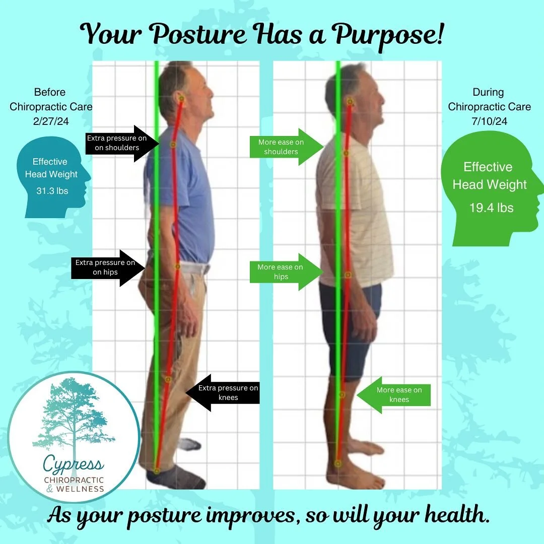 Charleston, SC Holistic Chiropractor