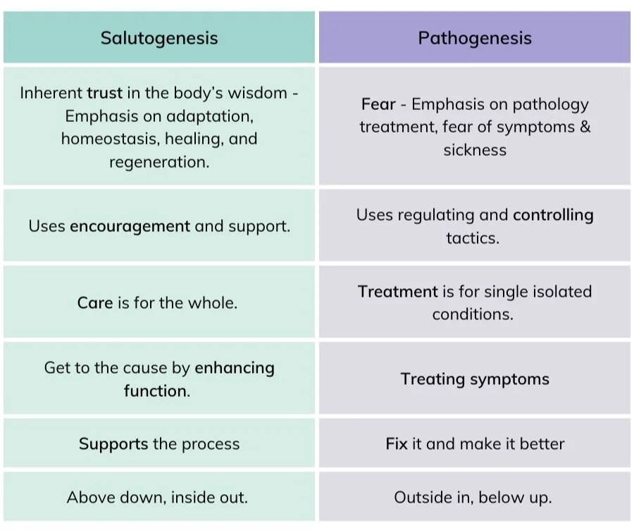 Salutogenesis — Holistic Chiropractor Charleston SC | Cypress ...