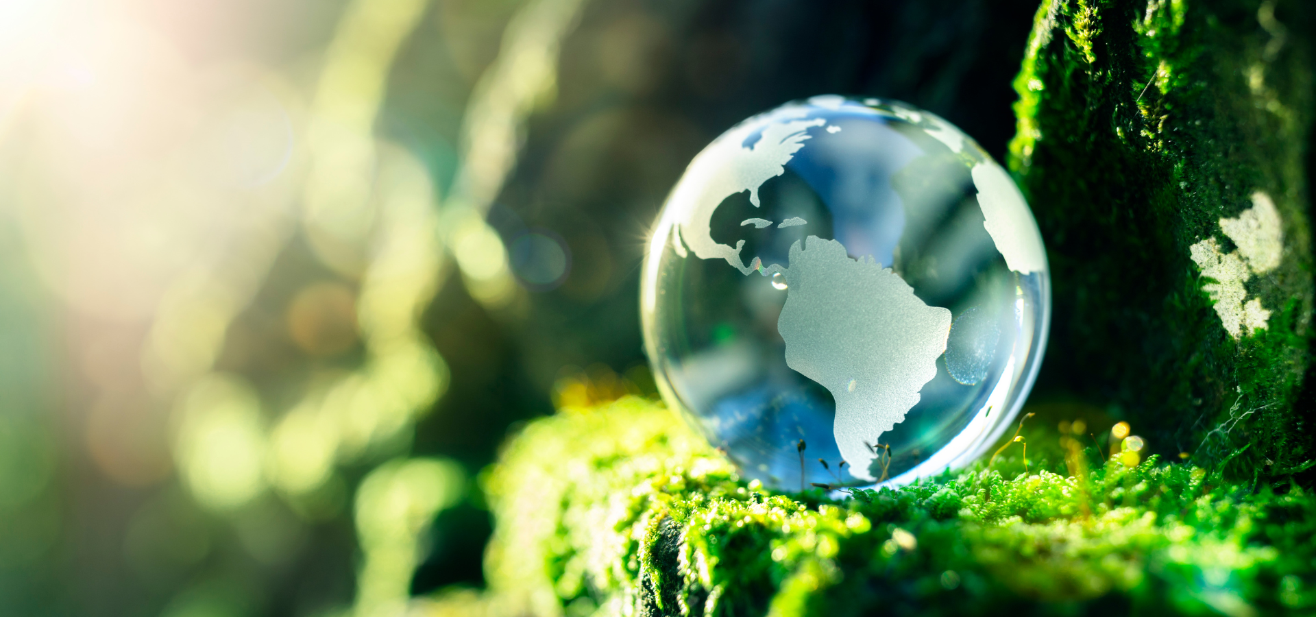 Better Beef and Better Steaks — Prime-88 Steakhouse: Fine Steaks and Wine