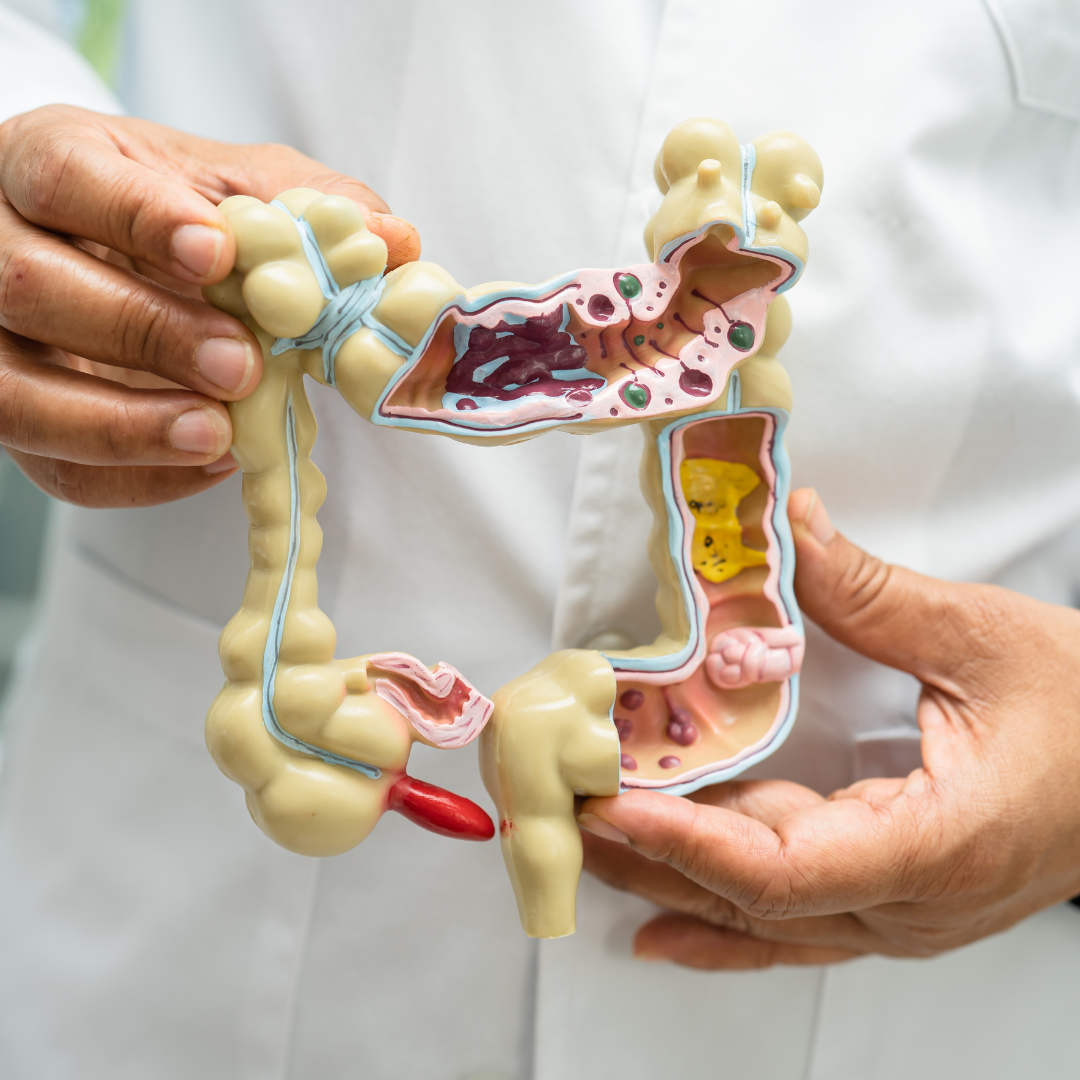 How Massage Therapy Affects the Autonomic Nervous System — Manual ...