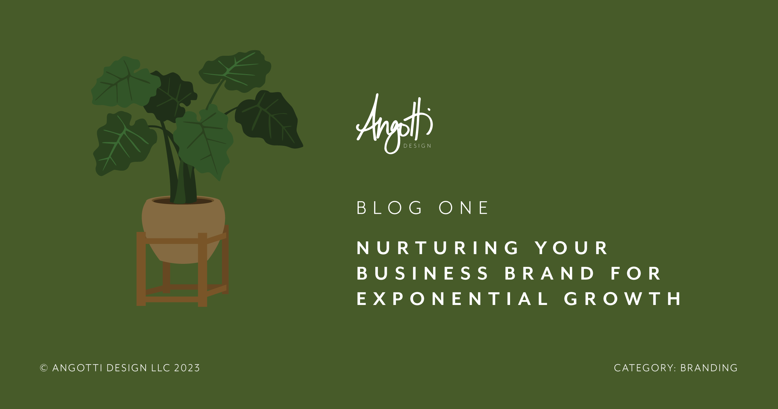 Blog — Angotti Design