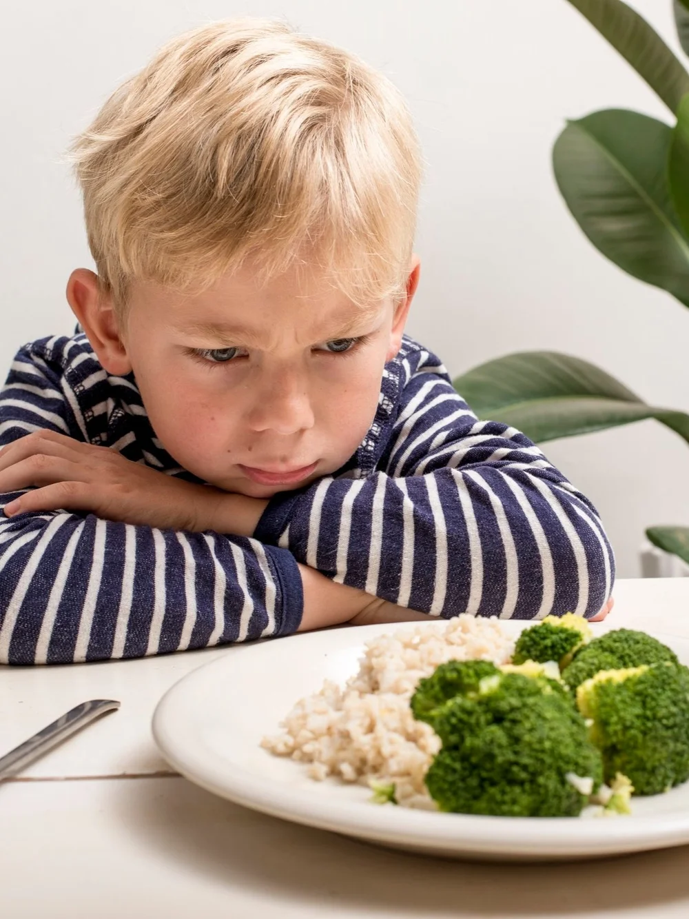 Picky Eaters Therapy — Brave Wings Therapy