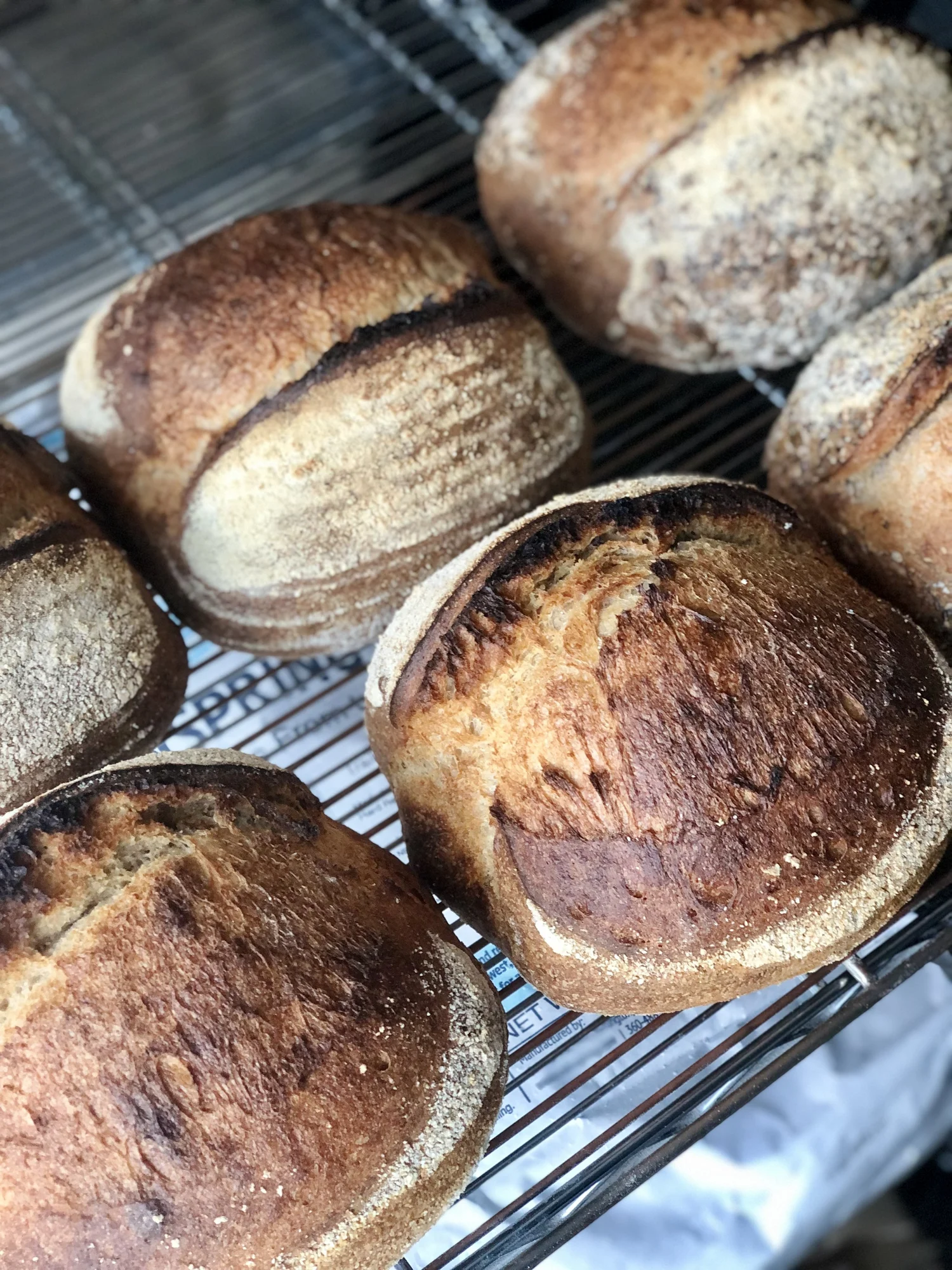 VIVA ULTRA BREAD