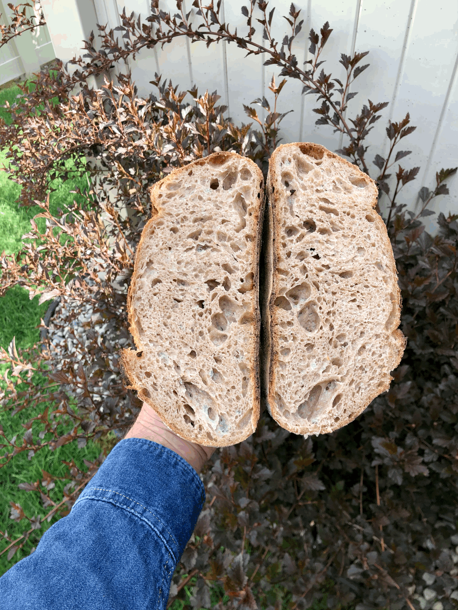 VIVA ULTRA BREAD