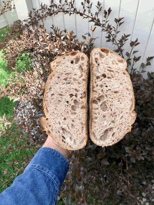 VIVA ULTRA BREAD