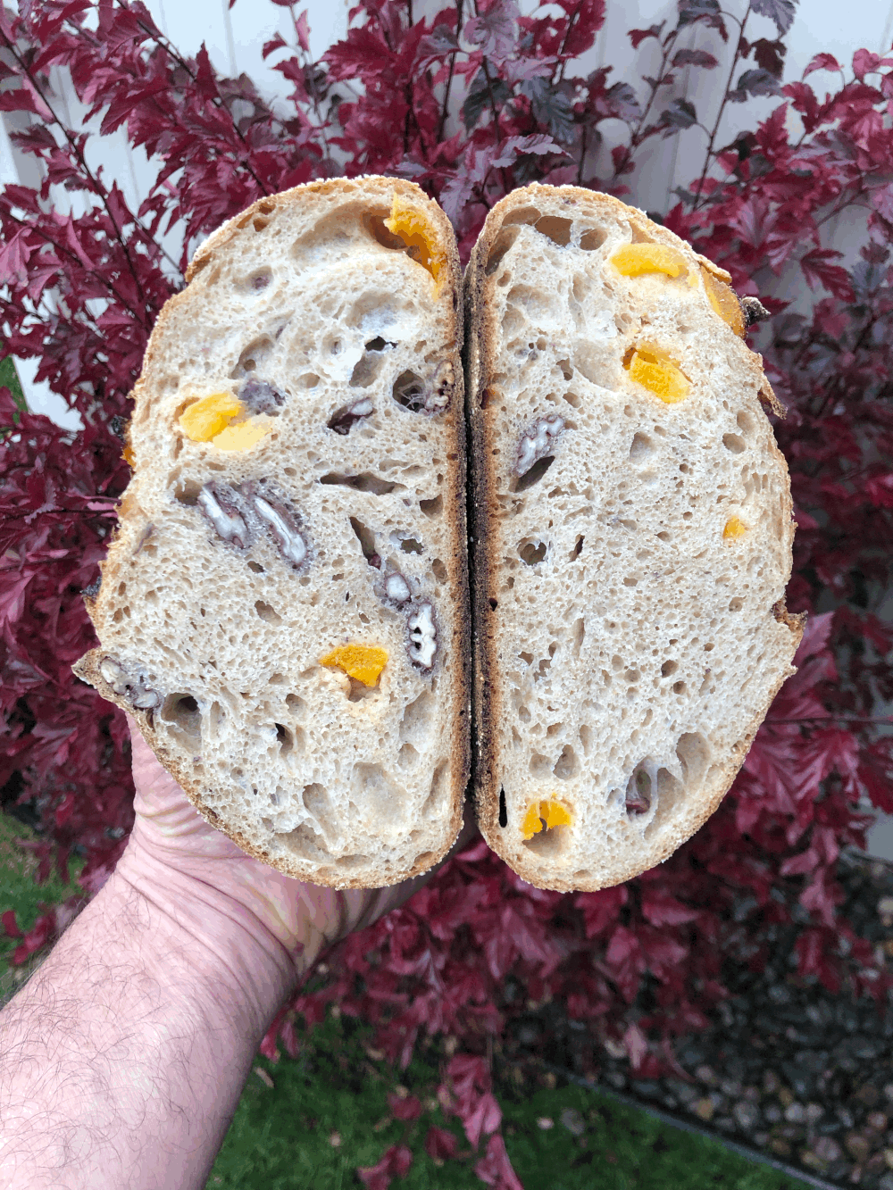 Shop — VIVA ULTRA BREAD