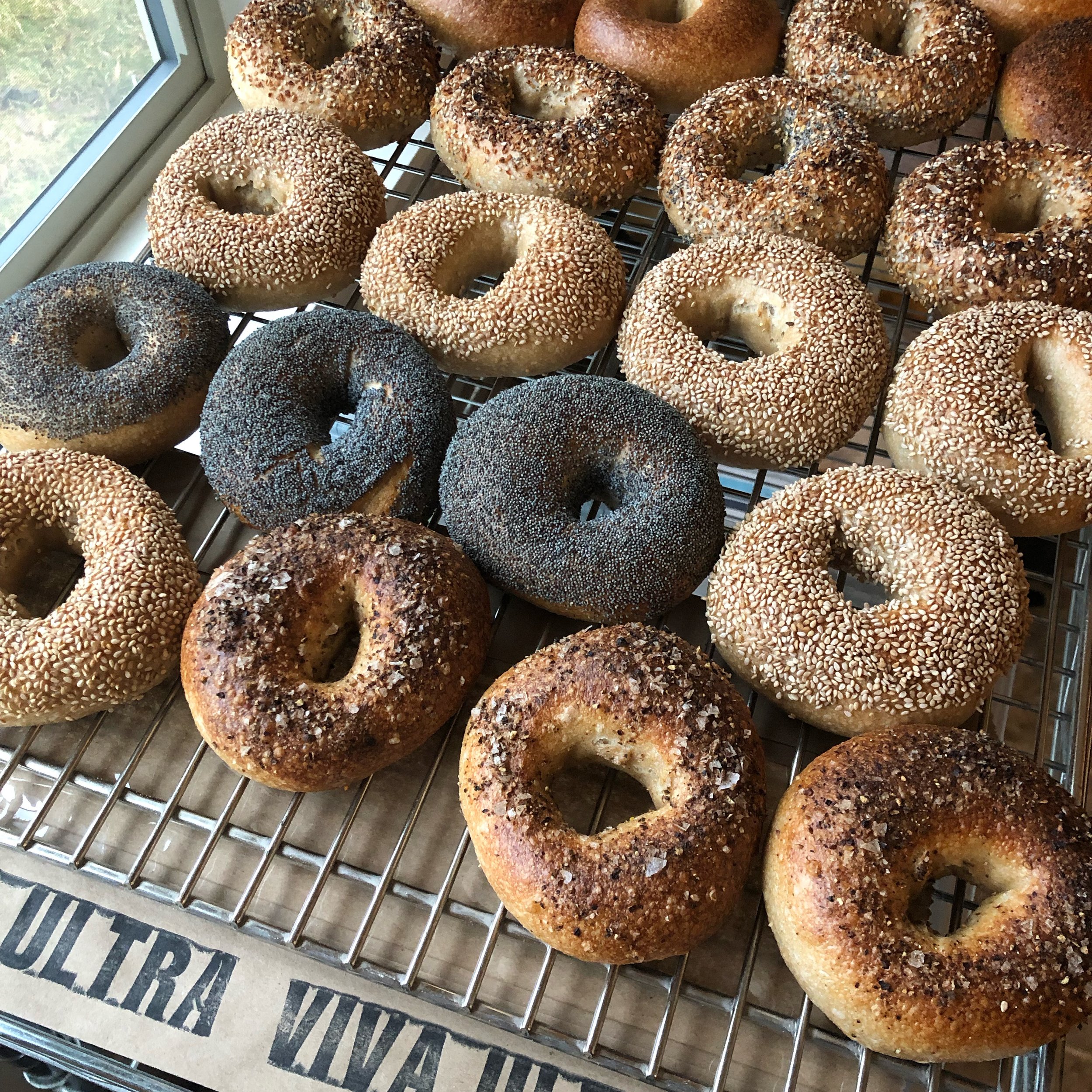 Shop — VIVA ULTRA BREAD