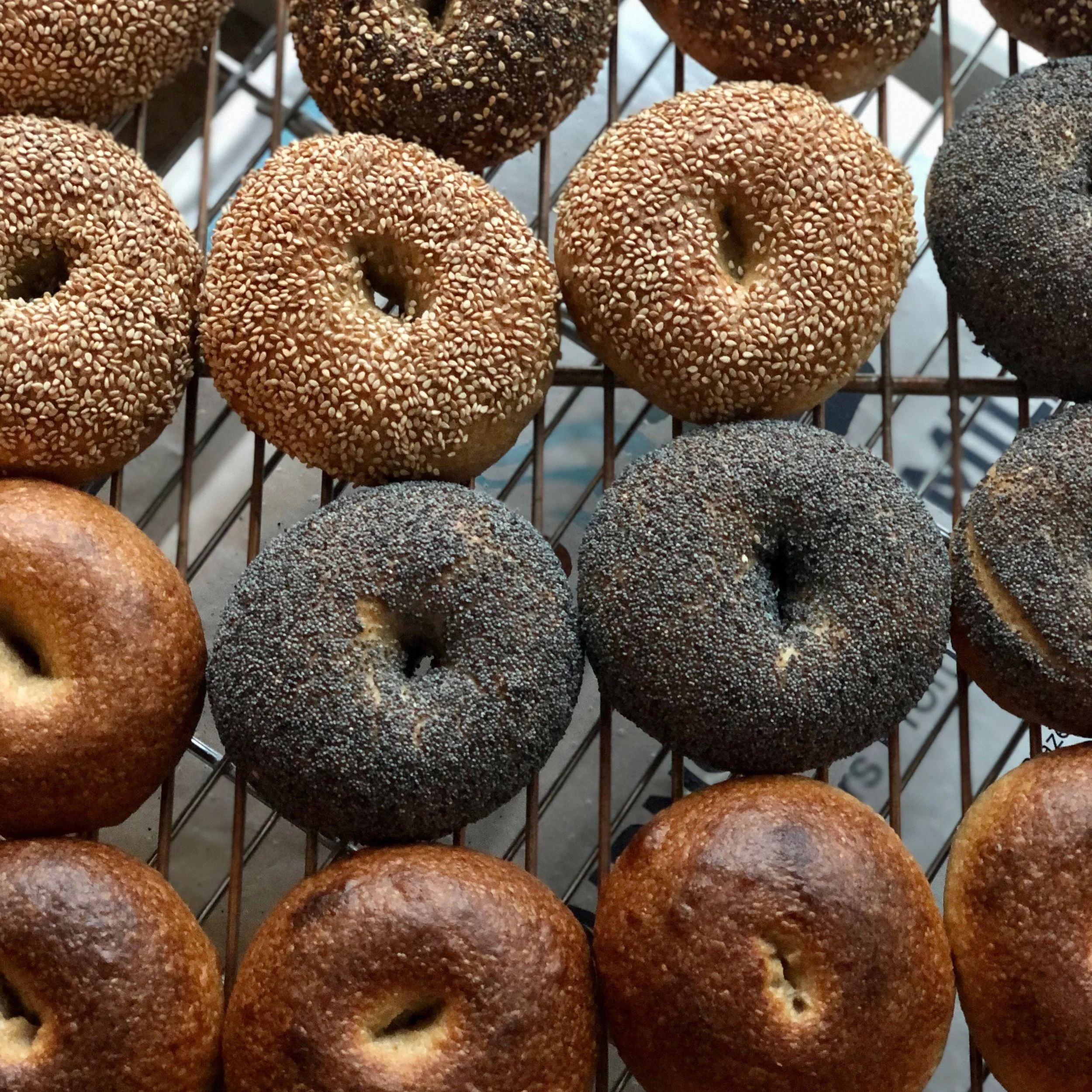 Shop — VIVA ULTRA BREAD