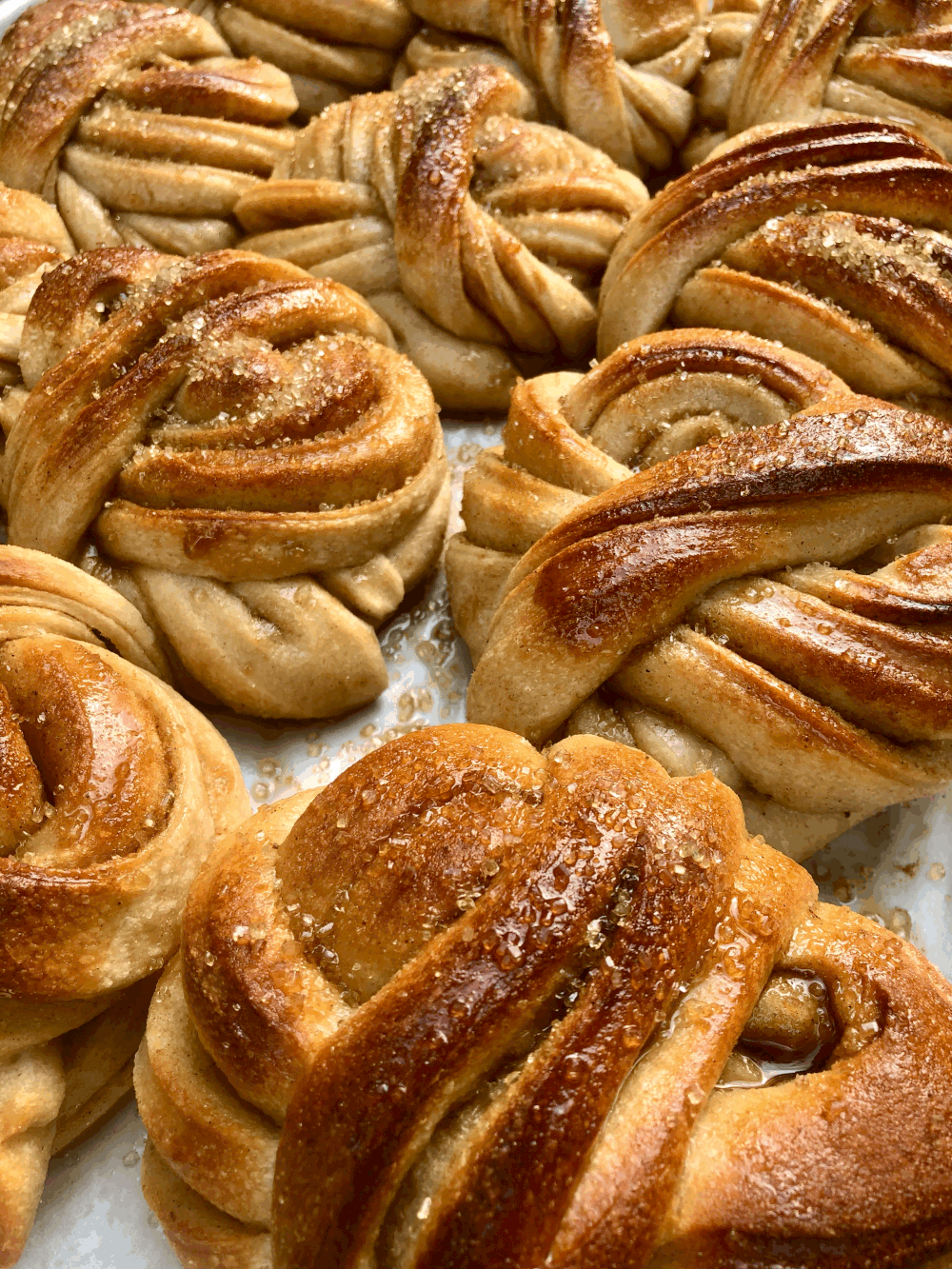 Shop — VIVA ULTRA BREAD