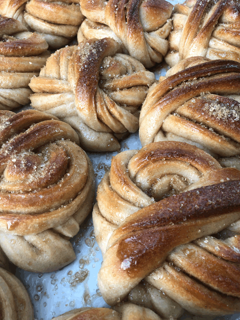 Shop — VIVA ULTRA BREAD