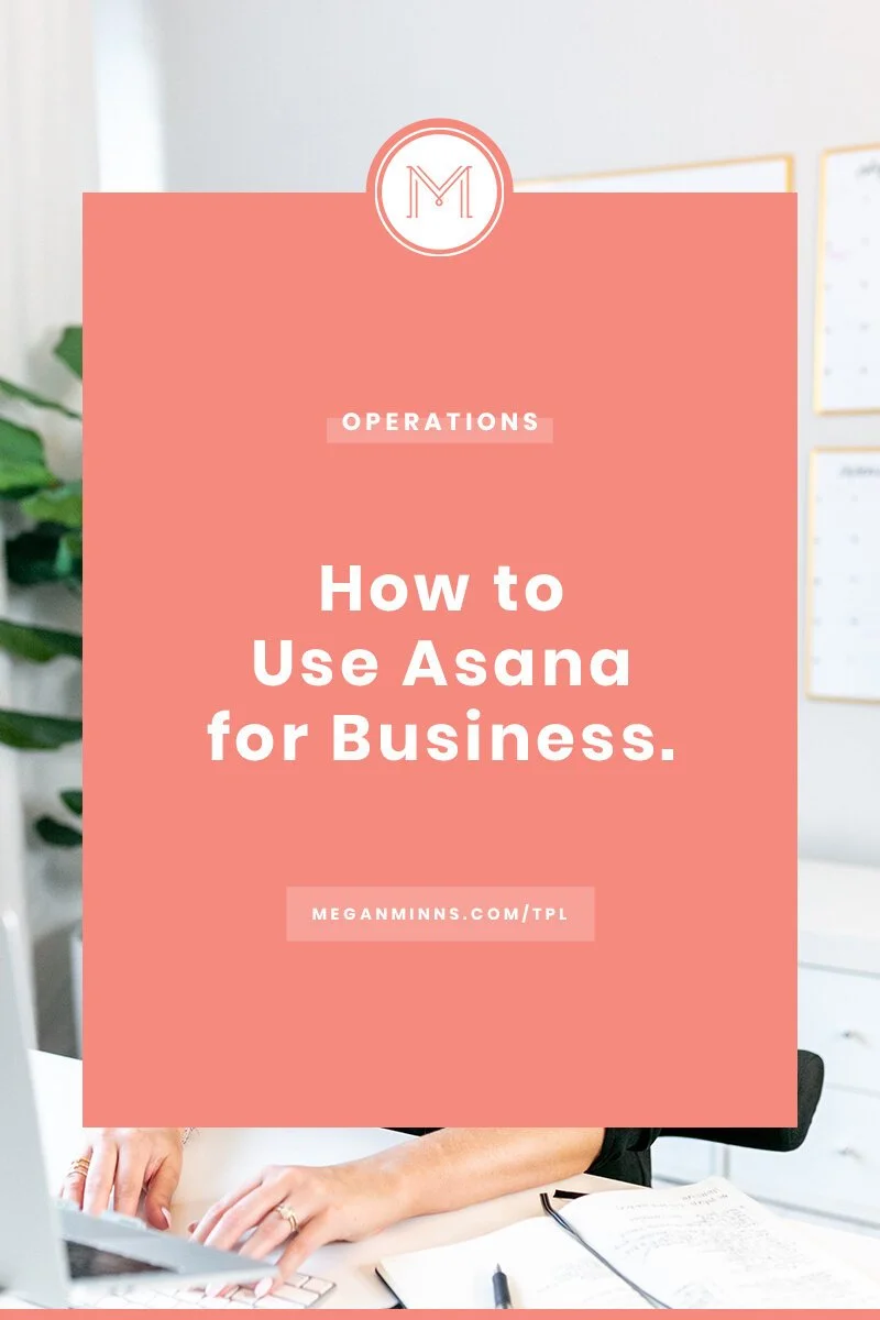 How to Use Asana for Business — Megan Minns King