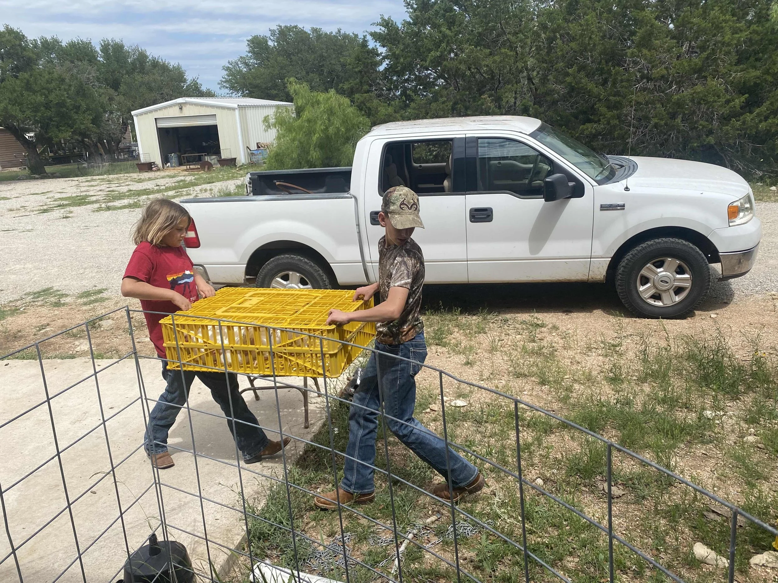 200+ lbs of Chicken in 45 days — Flat Rock Creek Ranch
