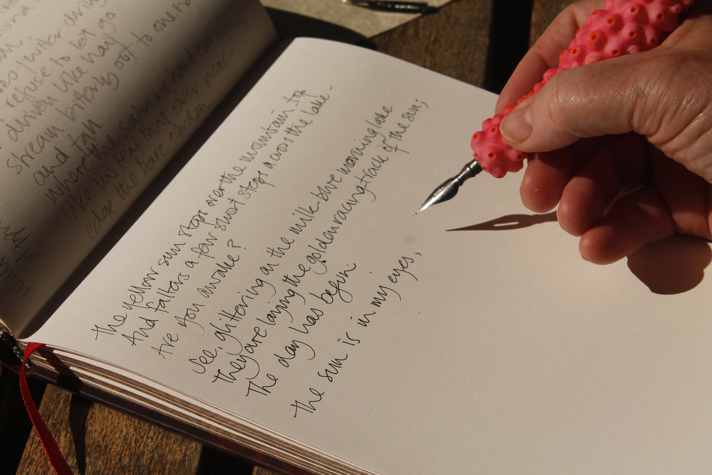 2025 Calanthe Collective Prize for Unpublished Poetry — Calanthe Press