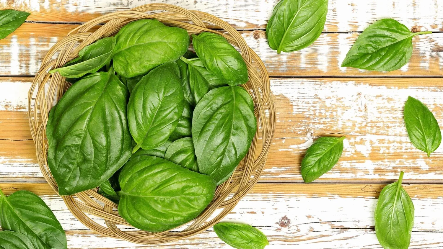 Guide to Using Herbs & Spices on Fruits & Veggies — Have Health Do Travel