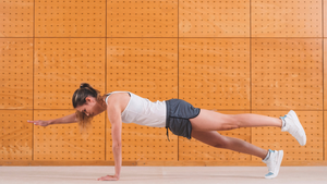 Planks: The Quintessential Fitness Move — Have Health Do Travel