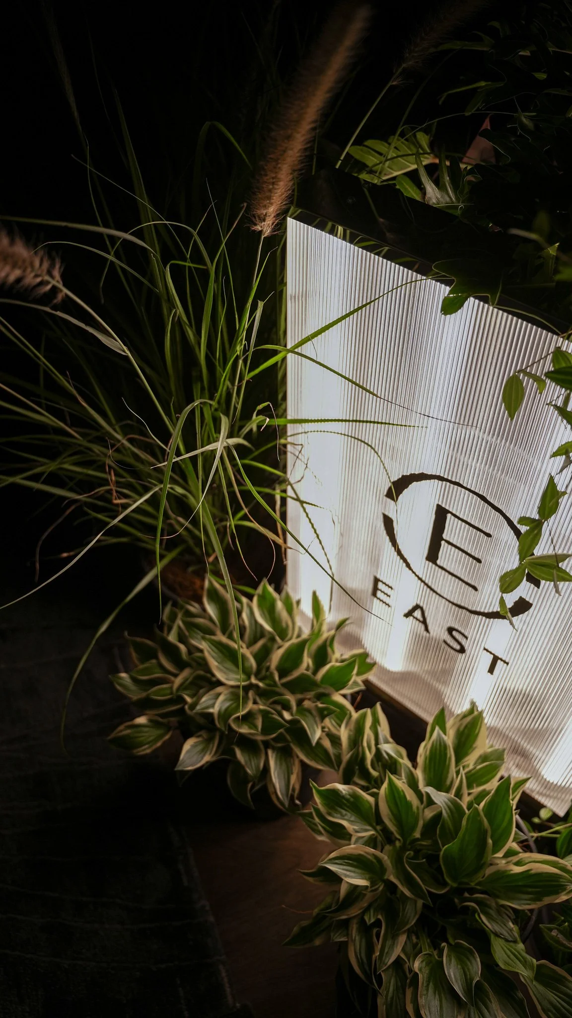Commercial — ROOT