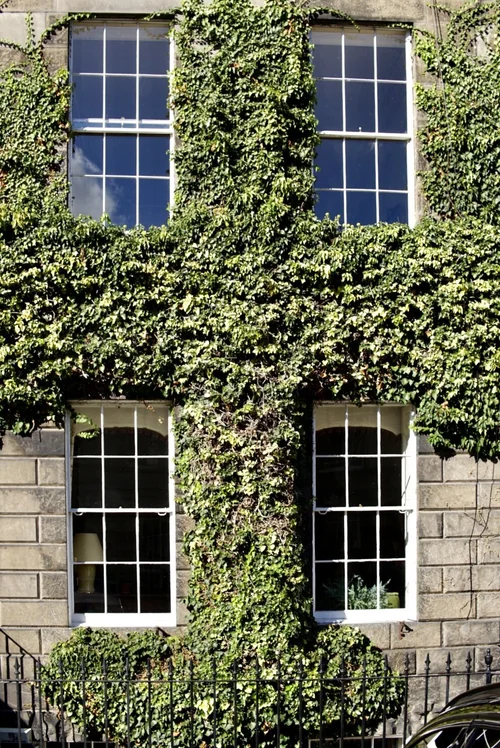 Sash Window Solutions | Sash & Case Solutions |Edinburgh & Fife