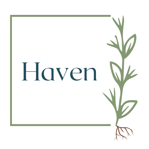 Haven, a holistic healthcare space.