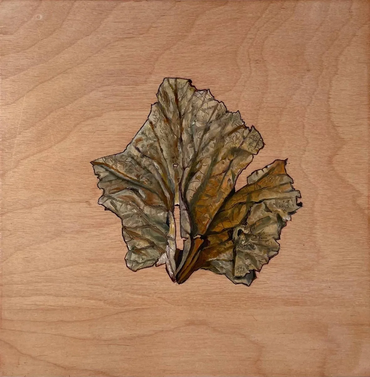 About — Ellen MacDonald