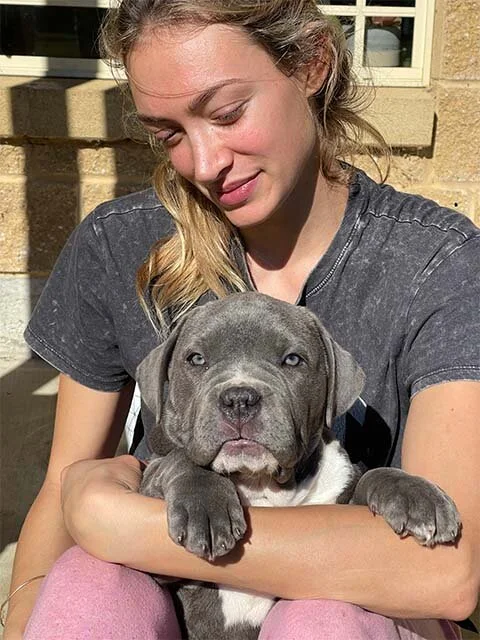 About — Australian Titan Bullys XL American Bully Breeder Australia ...