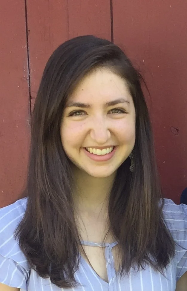 Meet the Orchestra — DCO