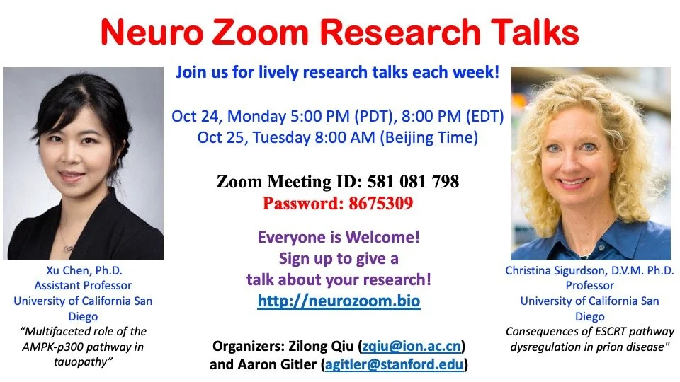 Neuro Zoom