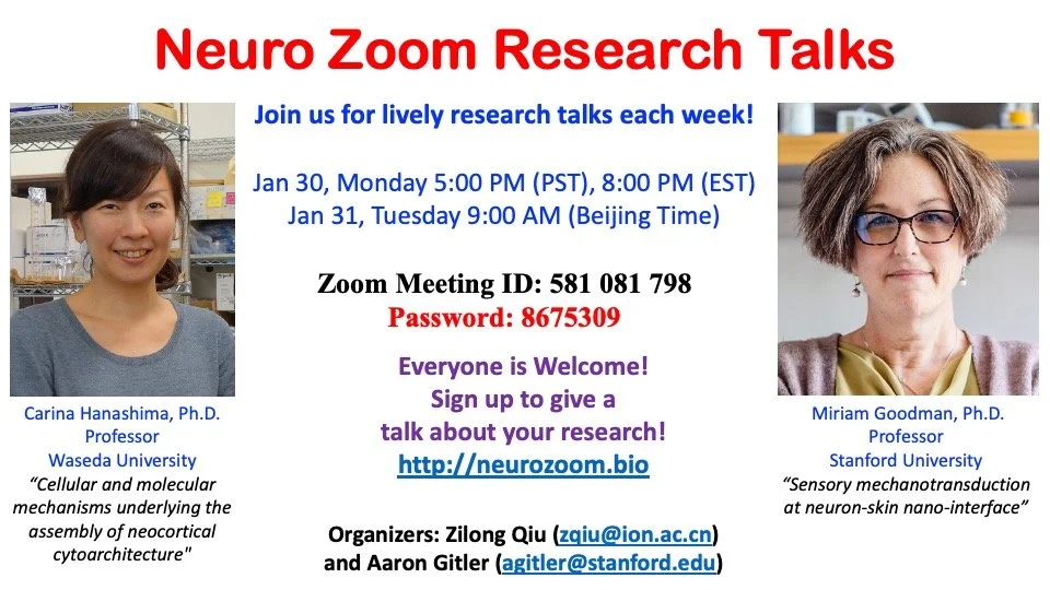 Neuro Zoom
