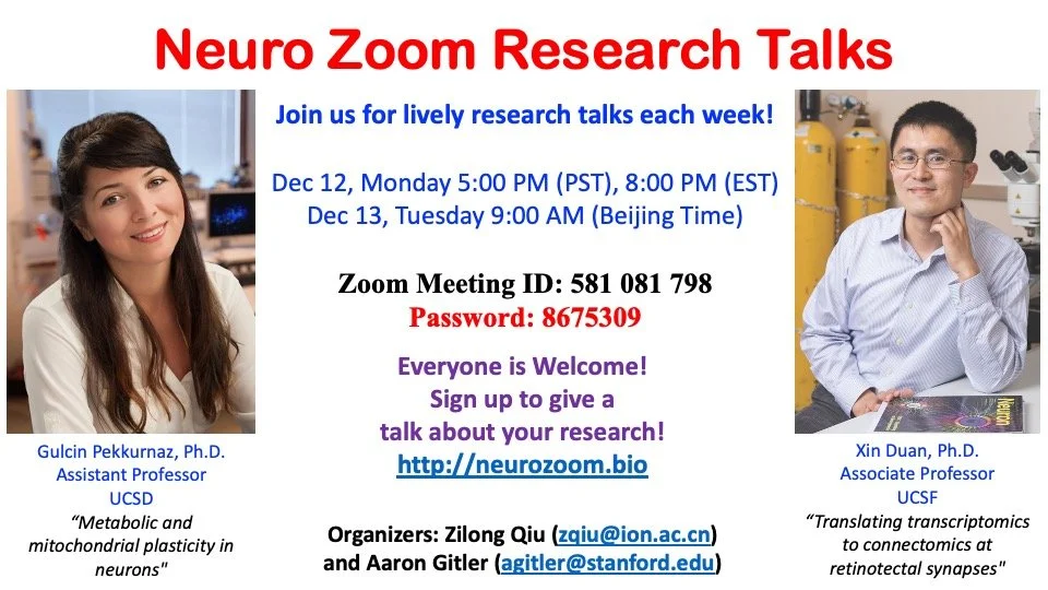 Neuro Zoom