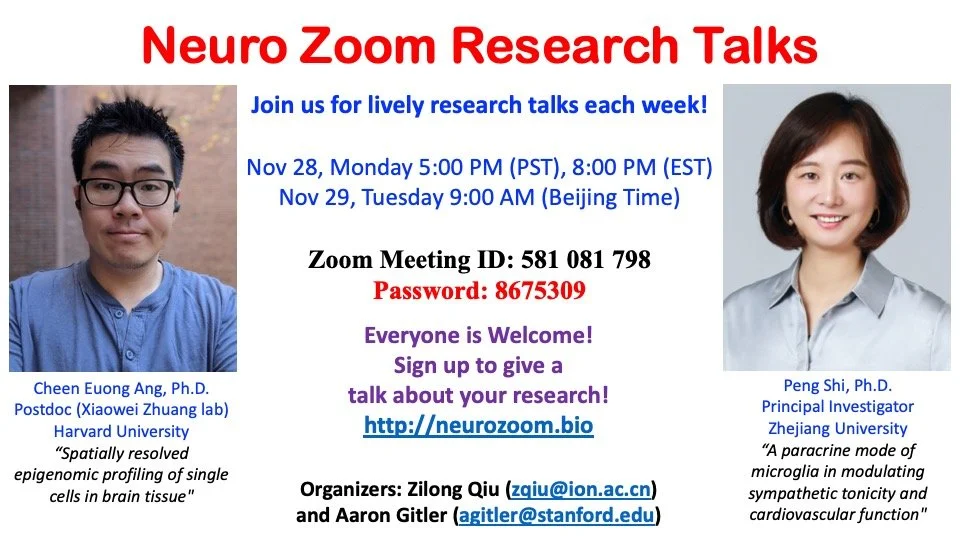Neuro Zoom