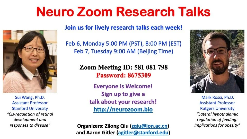 Neuro Zoom