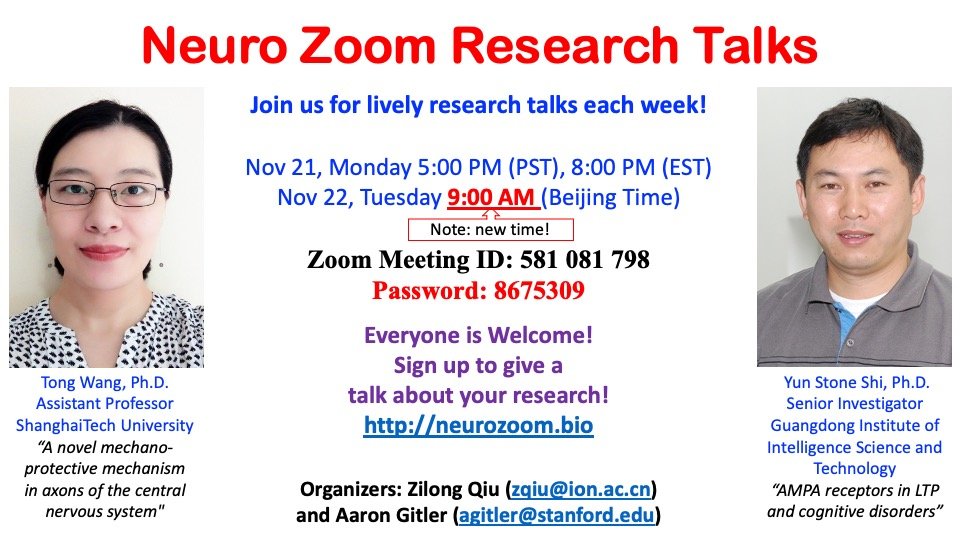 Neuro Zoom