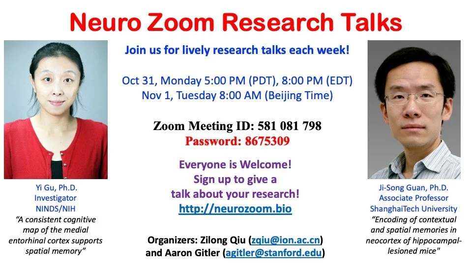 Neuro Zoom