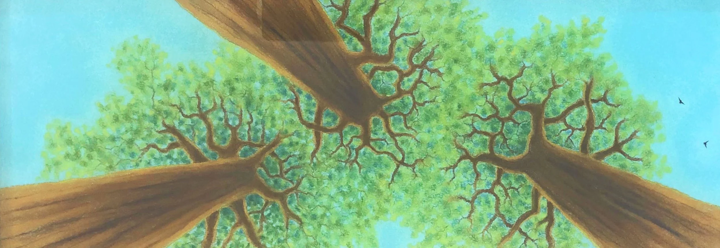 Dear Reader — Barbara Bash